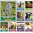 Amazon.com: party greeting 9 Pcs Bible Poster for Classroom VBS ...