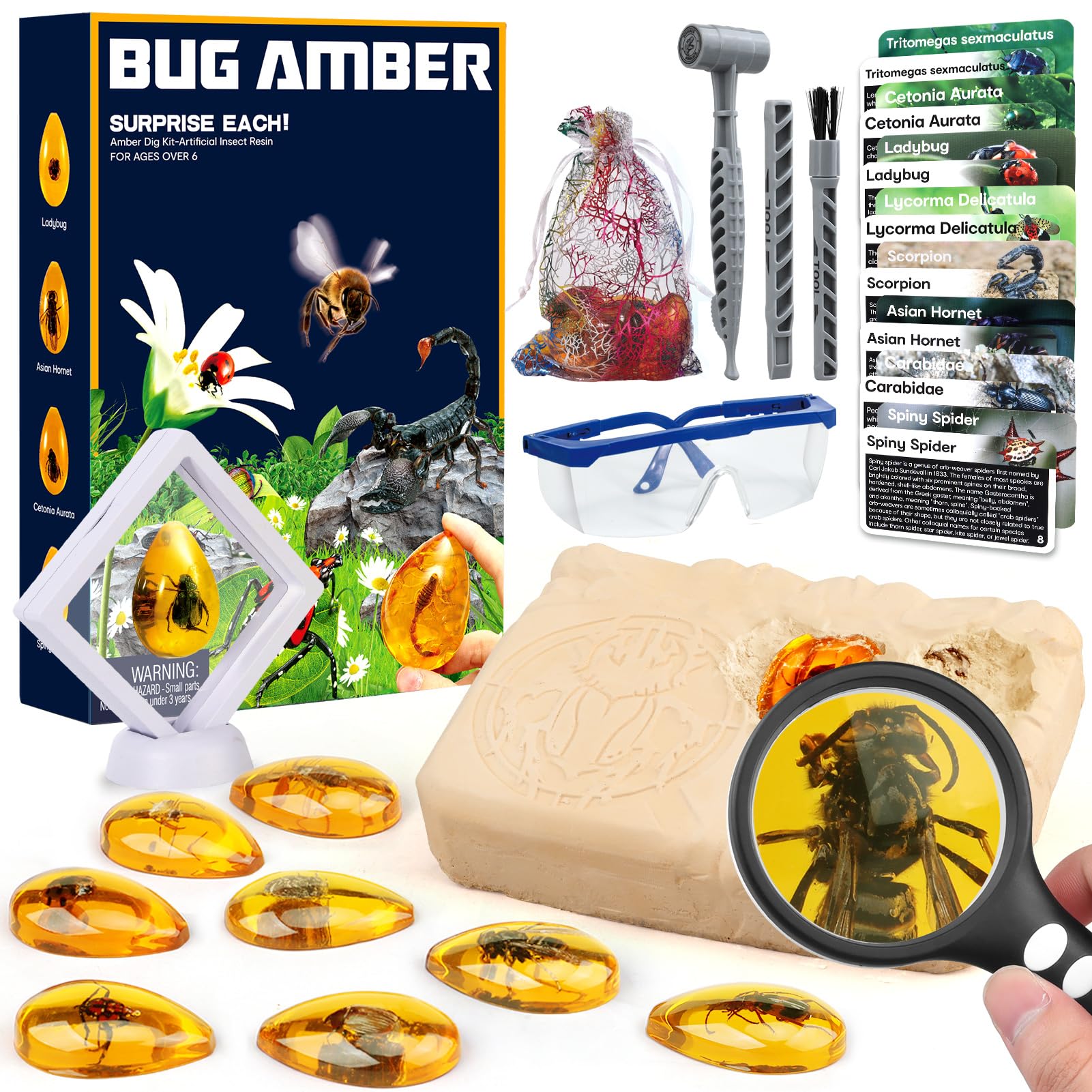 Mua Amber Dig Kit - Insects in Resin, 8 Insects Specimens Excavation ...