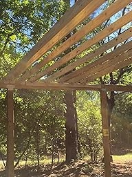 Amazon.com: Simpson Strong Tie AC6 6x Adjustable Beam/Post Cap: Home ...