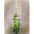 Amazon.com: Fake Hanging Plants with Lights Artificial Plants for Home ...