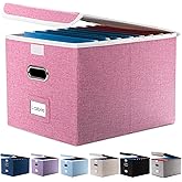 Amazon.com: PRANDOM File Organizer Box - Set of 2 Collapsible ...