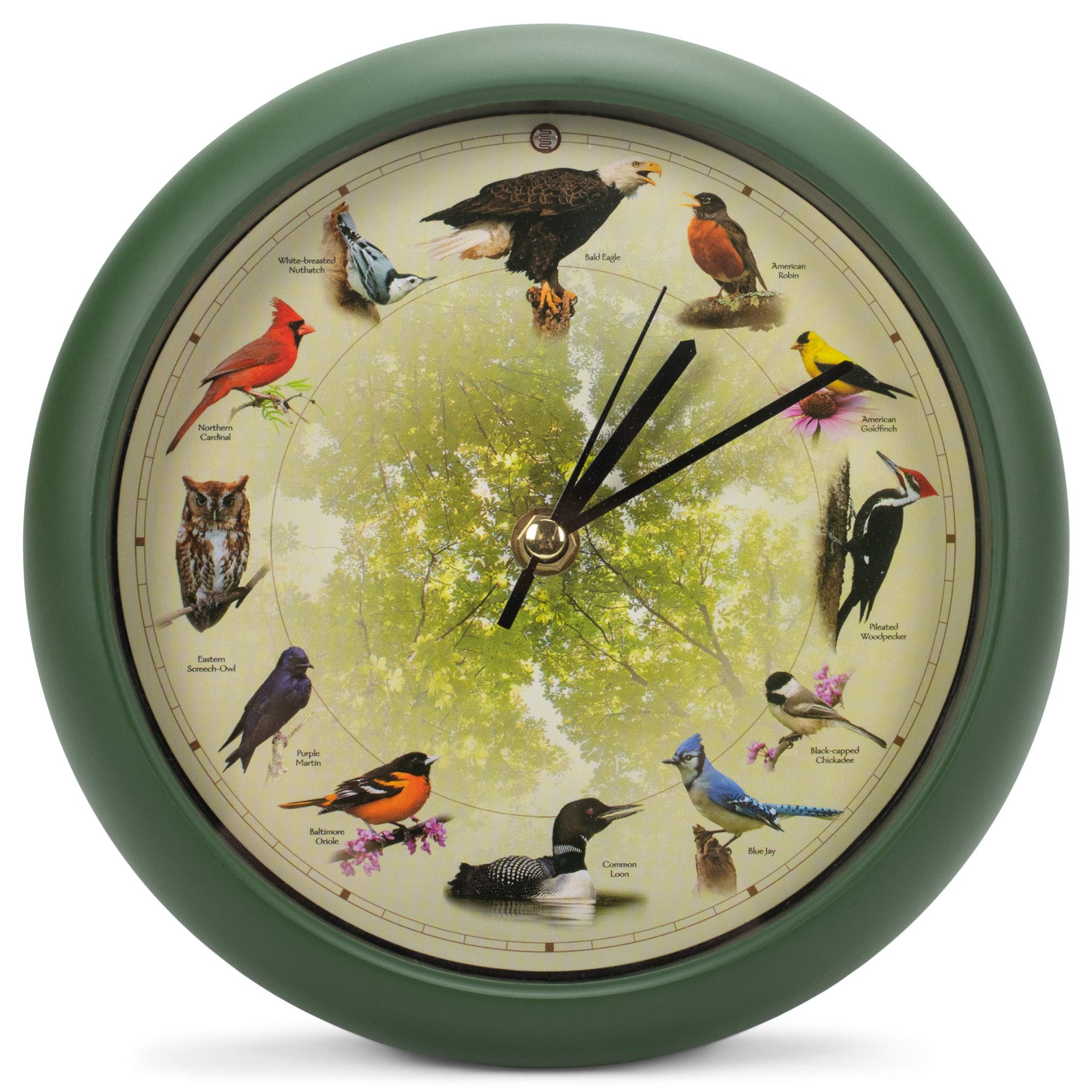 Mark Feldstein Limited Edition 20th Anniversary Singing Bird Wall/Desk ...
