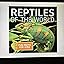 Reptiles of the World Fun Facts for Kids: Reptile Books for Children ...