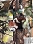 Red Panda: Learn About Red Pandas-Amazing Pictures & Fun Facts (Amazing ...