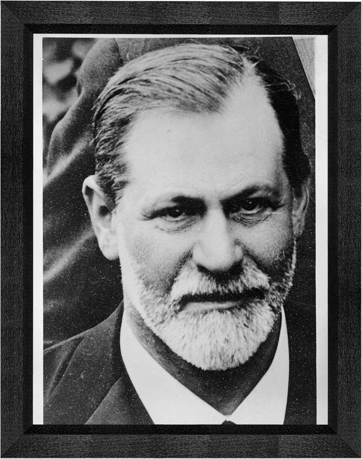 Amazon.com: Sigmund Freud Photograph in a Black Beveled Frame ...