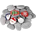 Amazon.com: River Rocks for Painting 30 Pcs Large 2-3 Inch Flat Smooth ...