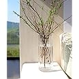 Amazon.com: GeLive 12 inch Ribbed Glass Vase, Tall Clear Vase, Cylinder ...