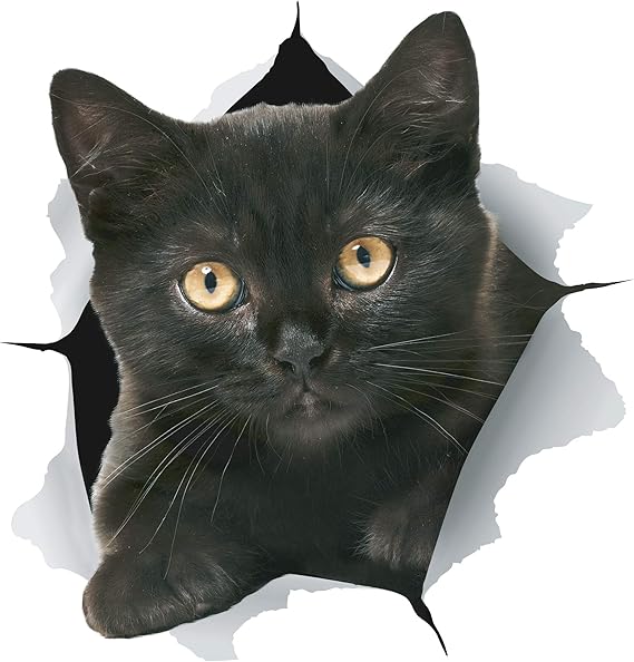 Winston & Bear 3D Cat Stickers - 2 Pack - Black Kitten Stickers For ...