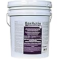Amazon.com : BorActin Insecticide Powder - 1 Pail (25 lbs.) : Patio ...