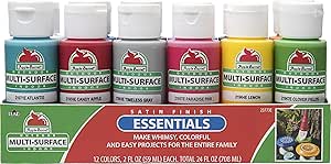 Amazon.com: Apple Barrel Essentials Paint Set, 12
