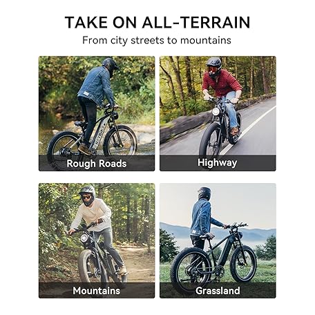 Mua Heybike Brawn Electric Bike for Adults,750W 28MPH 26'' Fat Tire ...