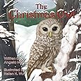 The Christmas Owl: Muse, Angela, Wu, Helen H.: 9781492936732: Amazon ...