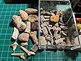 Fossil, Rock and Gemstone Box Collection. Set of 3 Boxes : Amazon.co.uk ...