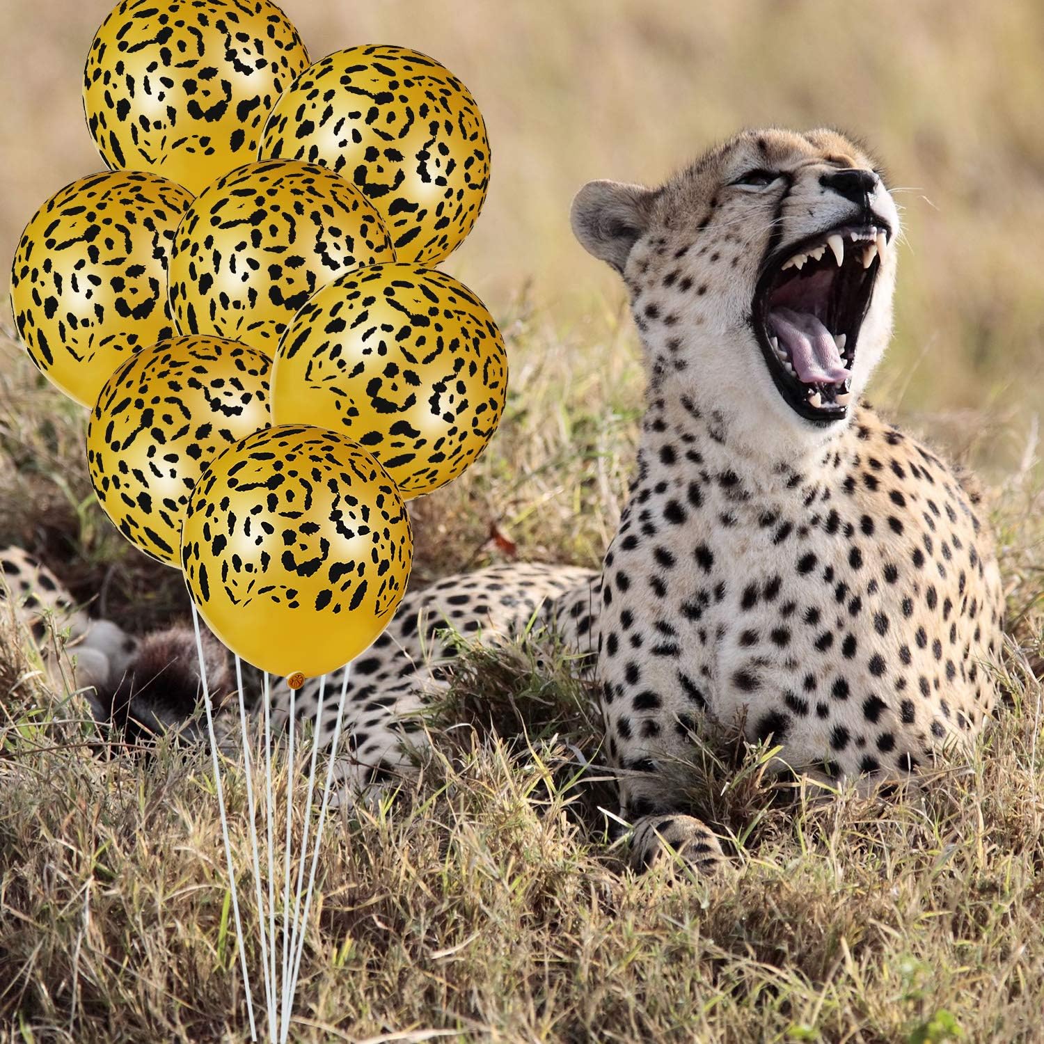 Gejoy 36 Pieces Leopard Balloons Cheetah Balloons Leopard Print ...