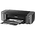 Amazon.com: Canon PIXMA PRO-10 Professional Photo Printer : Office Products