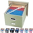 Amazon.com: PRANDOM File Organizer Box - Set of 1 Collapsible ...