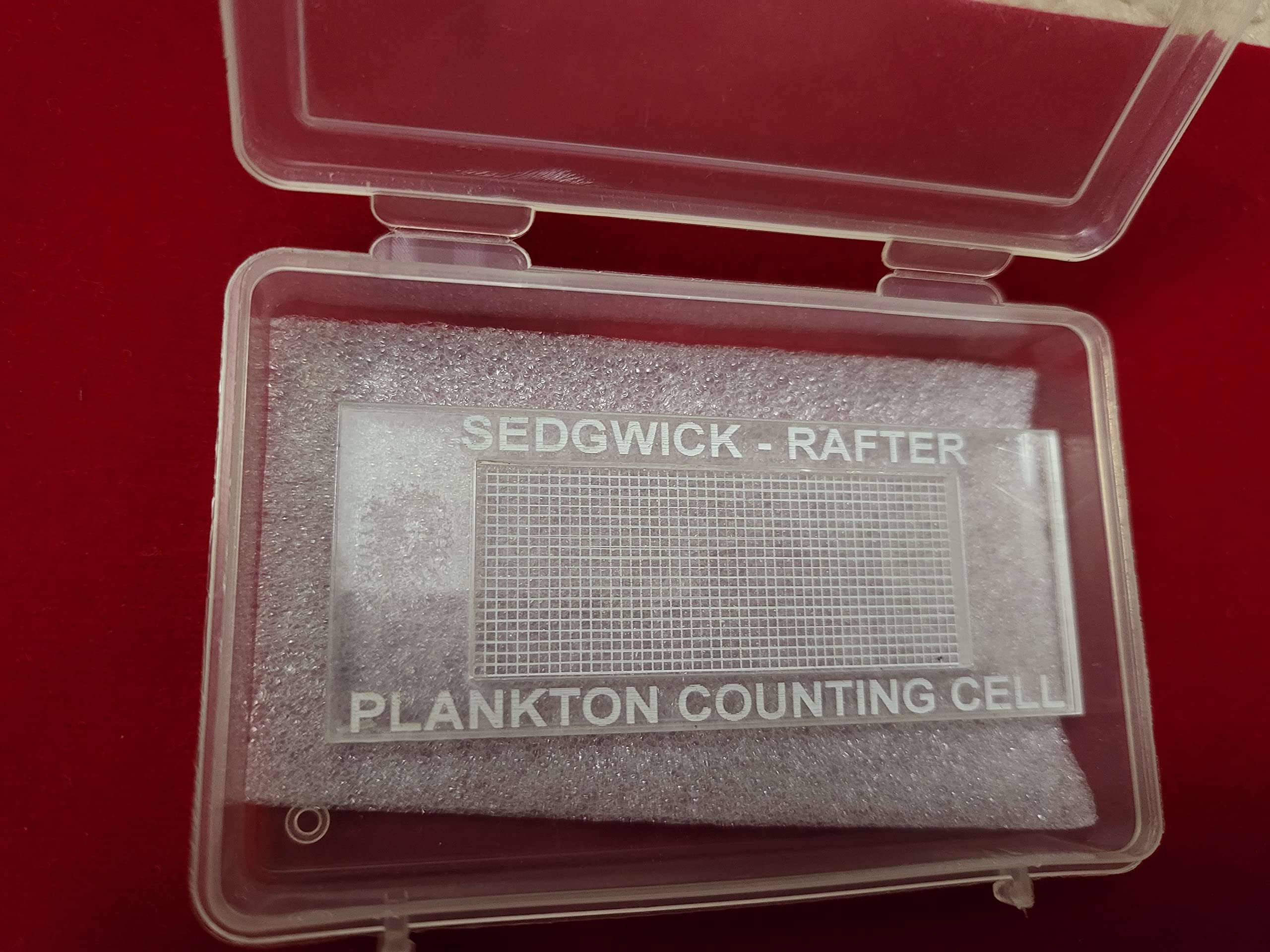 Gridded Acrylic Sedgewick-Rafter Counting Cell | Plankton Counting Cell ...