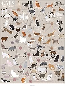 Amazon.com: Pop Chart | Cats, Categorized | 16" x 20" Art Poster ...