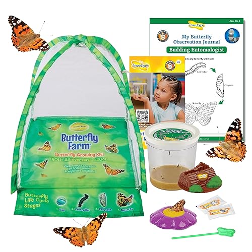 Insect Lore Butterfly Farm - Live Cup of 5 Caterpillars, Reusable ...