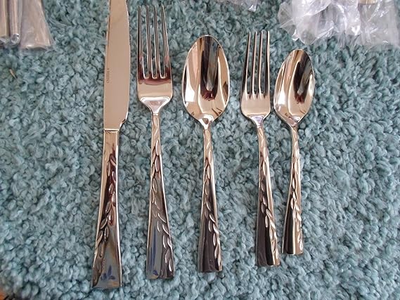 Amazon.com | Oneida 18/10 Discontinued Stainless Flatware SILVER FERN ...