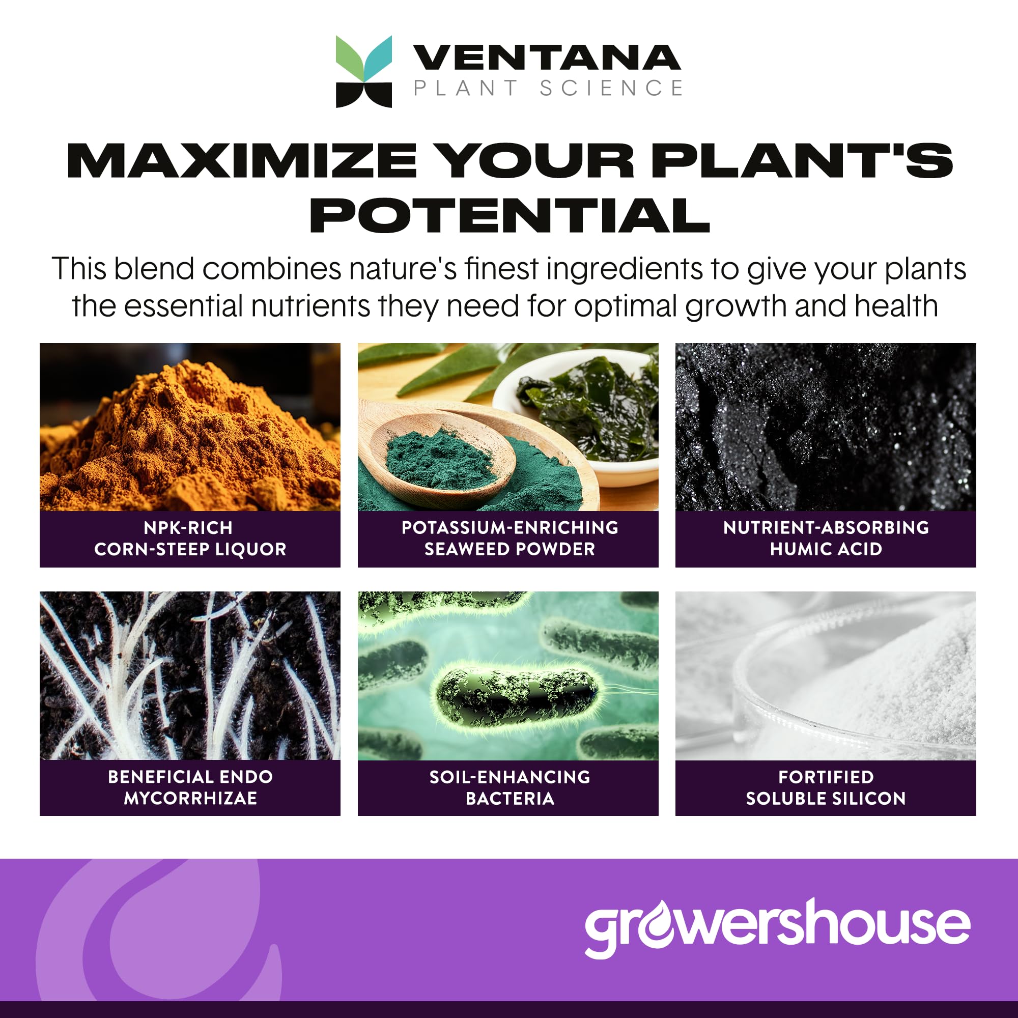 Mua Stash Blend Premium Plant Additive Root Hormone for Plants - with ...