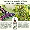 Poke Root and Castor Oil - 2 x 2 fl oz Poke Root Oil Organic with ...