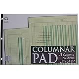 Amazon.com : Wilson Jones G7213A Accounting Pad, 13 Eight-Unit Columns ...