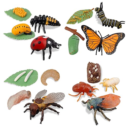 TOYMANY 16PCS Insect Figurines Life Cycle of Monarch Butterfly,Honey ...