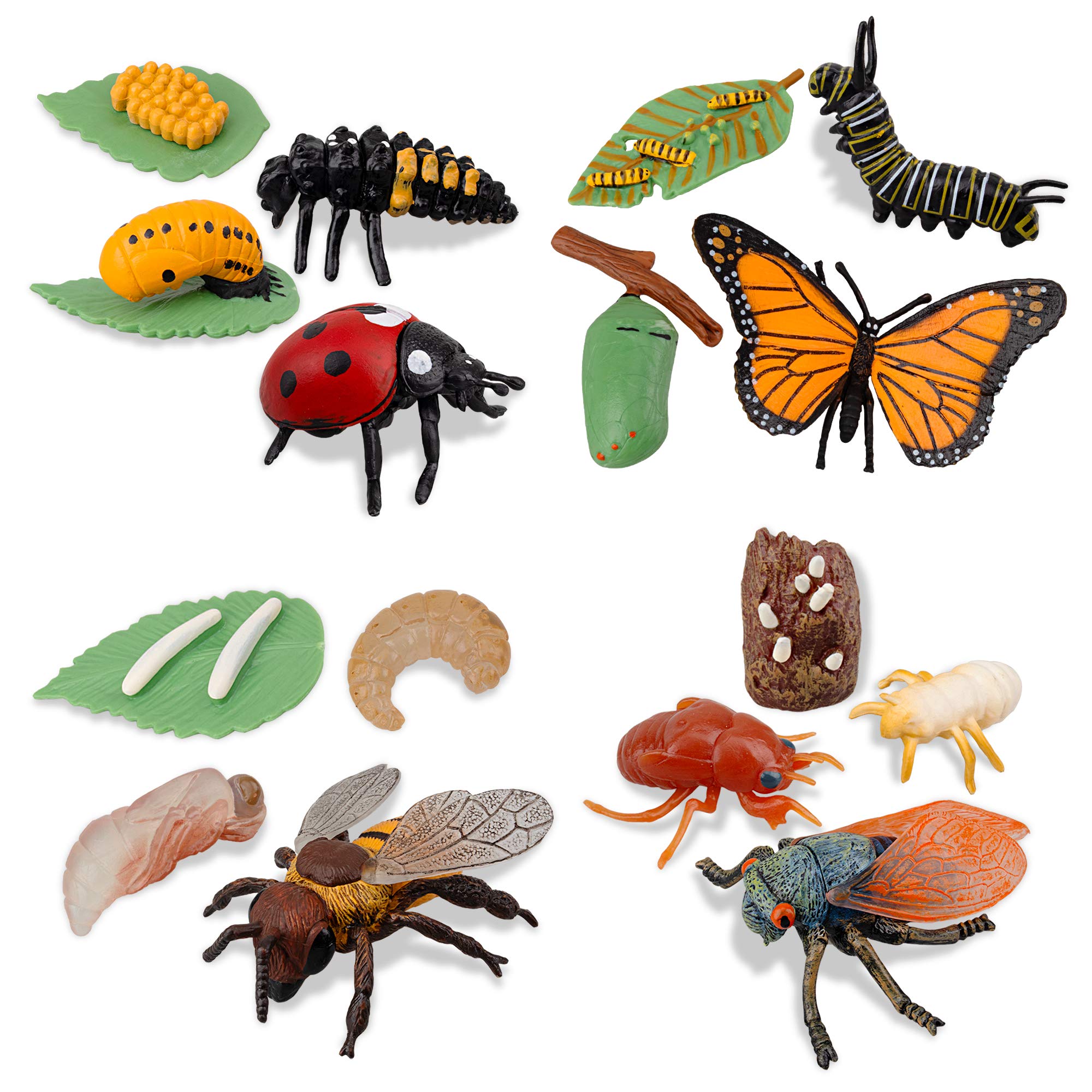 Mua Toymany 16PCS Insect Figurines Life Cycle of Monarch Butterfly ...