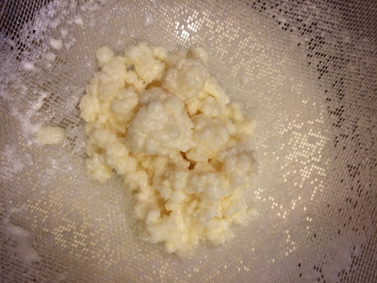 Kefir Oman | Online Yogurt Shop | Whizz Oman