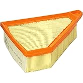 Amazon.com: Motorcraft - Element Asy - Air Cleaner (FA1923) : Automotive