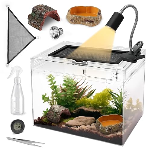 AZV Reptile Terrarium,Reptile Tank 15x8x10in Amphibian Isopod Tank ...