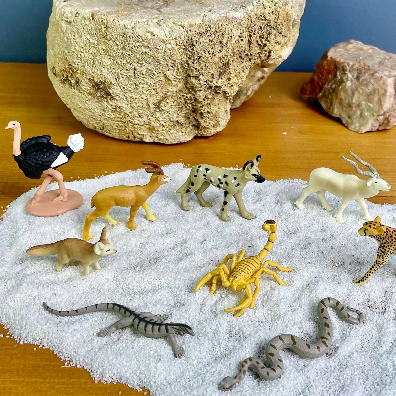 Mua Safari Ltd. Sahara Desert Animals TOOB - 9 Mini Animal Figurines ...