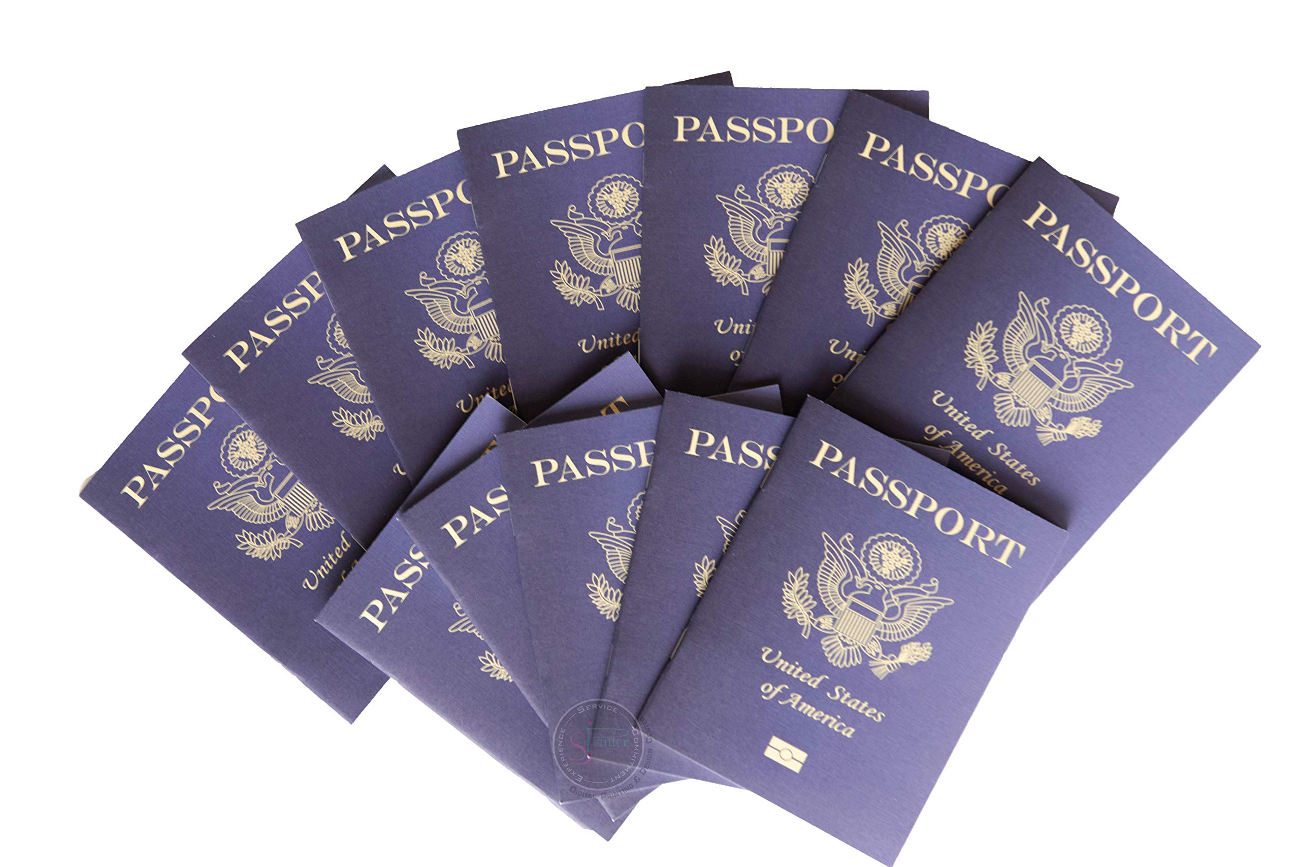 Mua SJPRINTER Blank Passport Notebook | Pretend Passports | School ...