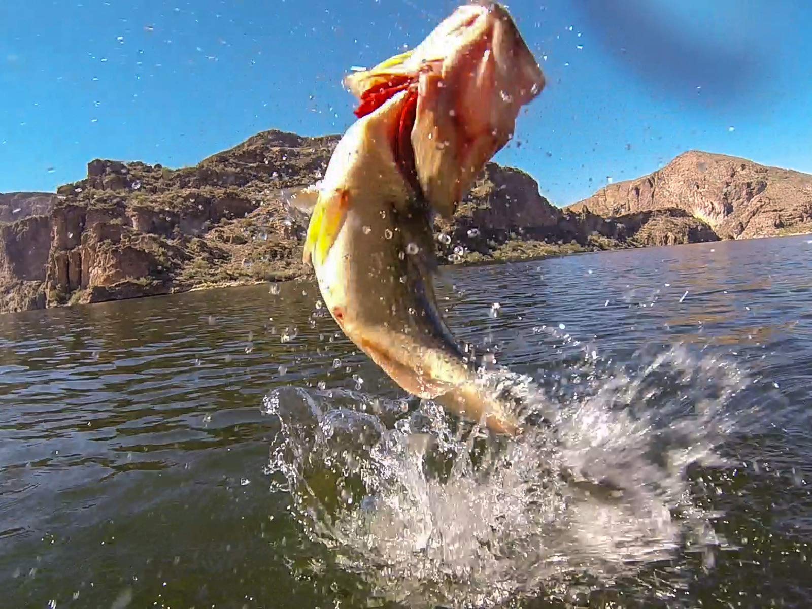 Watch Fishing with Gary Senft | Prime Video