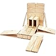 Amazon.com: Amazon Basics Over-Sized Hollow Wooden Building Block Set ...