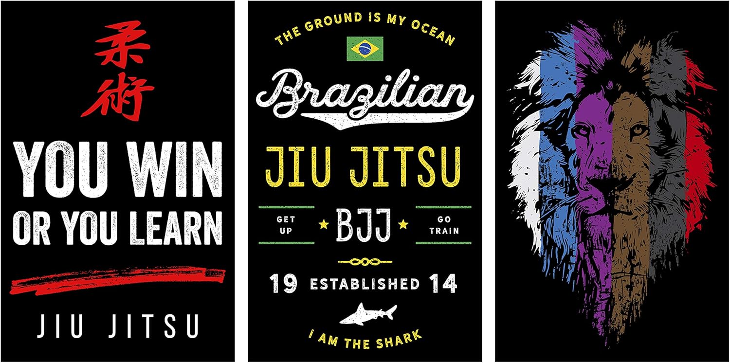 Damdekoli Jiu Jitsu Poster, Set of 3, 11 x 17 Inches, BJJ Wall Art ...