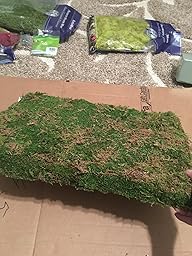 Amazon.com : Super Moss 26912 Spanish Moss Preserved, Grass, 8oz (200 ...