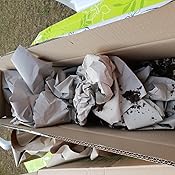 Lupine, Lupinus polyphyllus ´Edelknabe´: Amazon.de: Garten