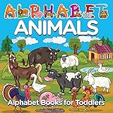 Amazon.com: Alphabet Animals: A Slide-and-Peek Adventure (Slide-And ...
