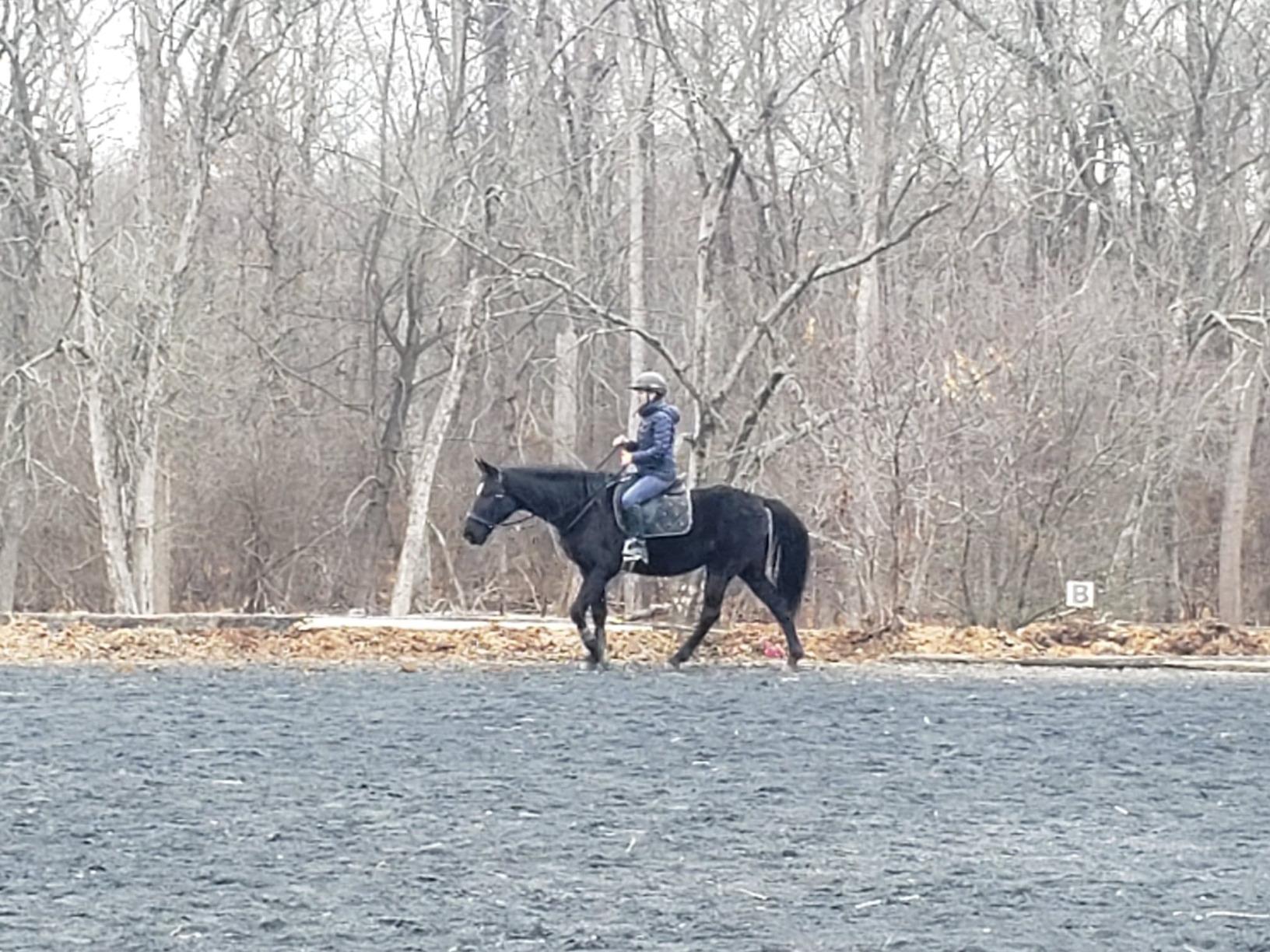 $17/mo - Finance Wonder Care Genuine English Leather Crossover ...