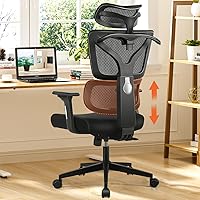 Razzor Ergonomic Office Chair, High Back Mesh Desk Chair with Lumbar ...