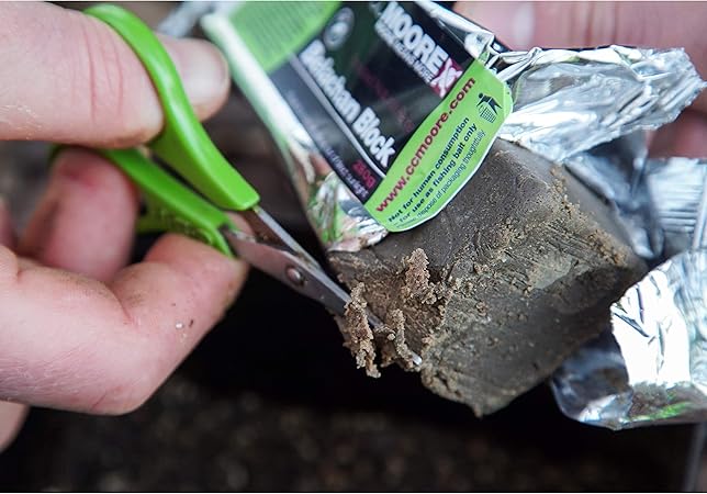 Belachan shrimp paste block (250gr): Amazon.co.uk: Sports & Outdoors