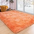 Amazon.com: Softlife Area Rug for Bedroom, 4x6 Feet Plush Fluffy Rug ...