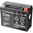 Amazon.com: Yuasa YUAM7250H YTX24HL Factory Activated H Series AGM Battery : Automotive