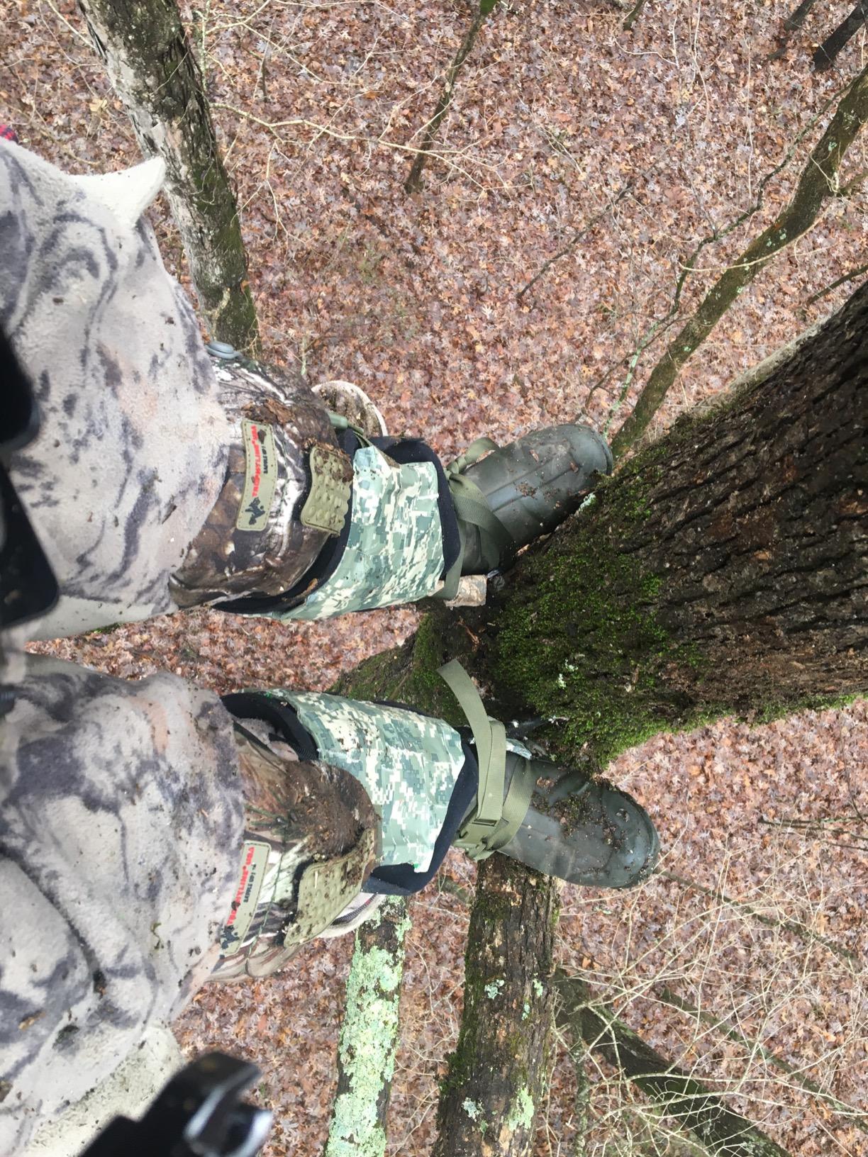 $49/mo - Finance Notch Gecko Steel Climbers w/Tree Gaffs (Pair) (41150 ...