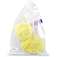 Amazon.com : Premium Natural FINA Silk Sponges - 2pc Luxury soft on ...