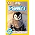 Amazon.com: National Geographic Readers: Level 2 - Pandas ...