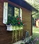 Amazon.com : Drip Irrigation Kit for Window Boxes - Kit Size : Standard ...