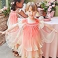 Amazon.com: Meri Meri Fairy Costume Age 3-4 (Pack of 1) : Clothing ...